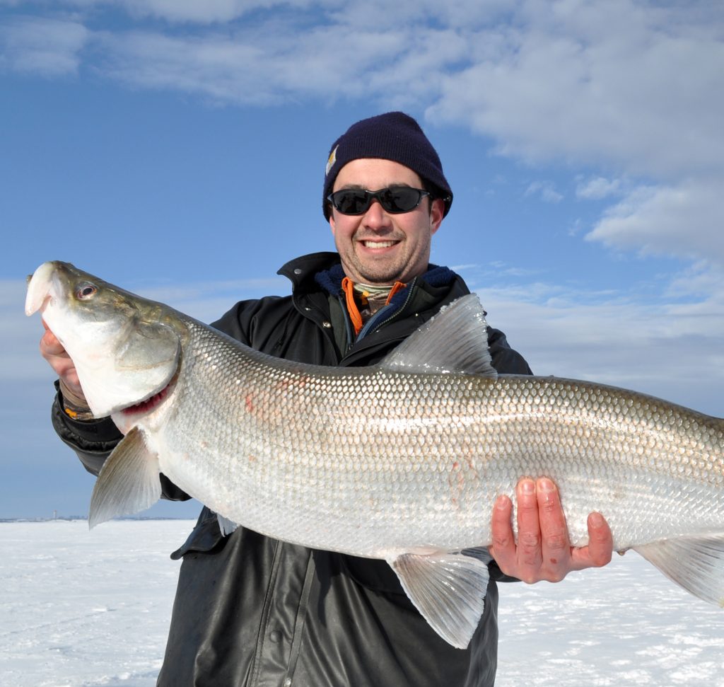 Inconnu - Spectacular NWT